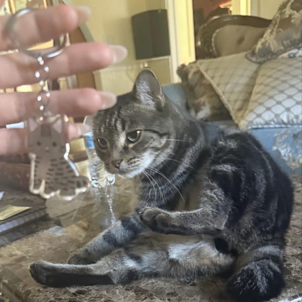 Hammerhead Waterproof Vinyl Sticker | Kawaii Chibi Marine Animal Lover ...