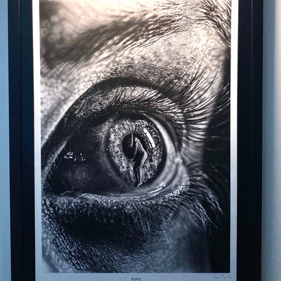 Gummy Jono Dry Pencil Drawing Print - Etsy