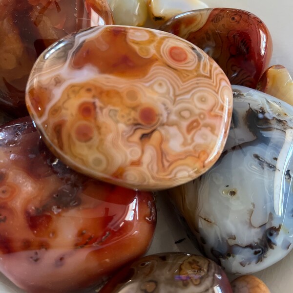 AAA Natural Aquatic Plant Agate Banded Crystal Polished Pendant Palm ...