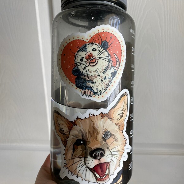 Button Eyed Fig the Fox Weather Proof Sticker - Etsy