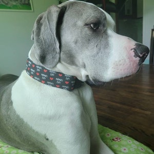 Rainbow Paw 2 Inch 1 Inch Dog Collar Big Dog Collar - Etsy