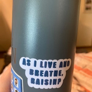 THE OFFICE Save Bandit Angela Sticker Vinyl Waterproof Sticker the ...