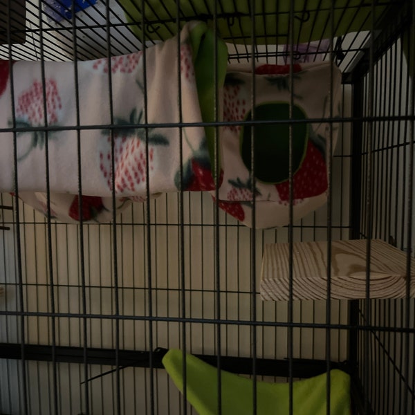 Mismatched Rat Cube Hammock UGLY DUCKLING Random rat Bed, Rat Cage Set ...