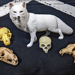 Human Skeleton HO Scale 1:87 Miniature for Horror Diorama, Dollhouse ...