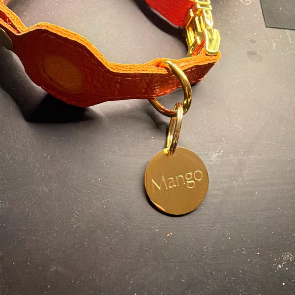 Personalized Gold Dog Tag Custom Engraved ID for Dogs Microchip ...