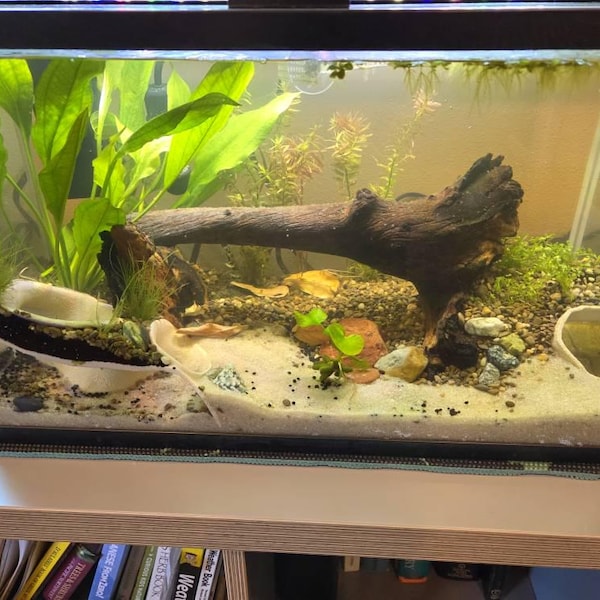 Spacious Corner Aquarium Terrarium Cave – Elevated Hideout for Fish ...