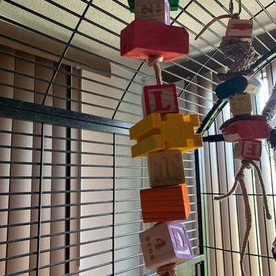 10 Pack 2 Wood Blocks for Bird Toys, Parrots, Chinchillas Guinea Pigs ...