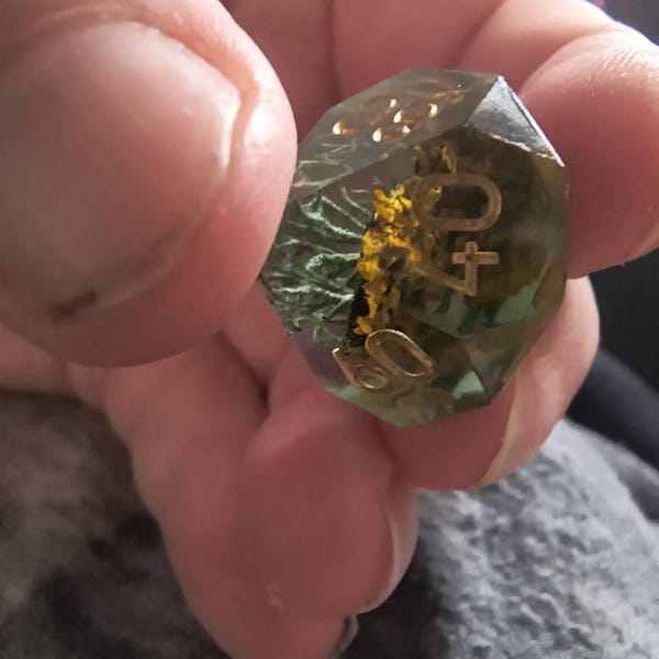 Moss and Lichen Dnd TTRPG Resin Dice Set - Etsy