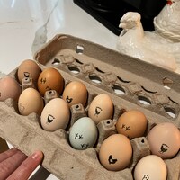 Silkie in Space Large Sticker Cute Chicken Laptop Sticker - Etsy