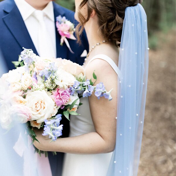 Pink Ombre Blusher Veil, Two Tier Veil, White Ivory Tulle Dip Dyed in ...