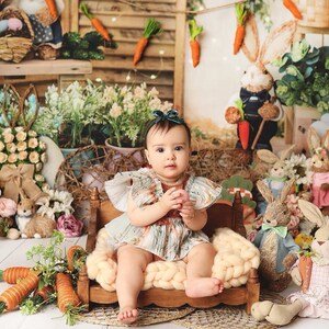 Sitter Outfits Photography, Sitter Romper Girl Prop, Sitter Photo Prop ...