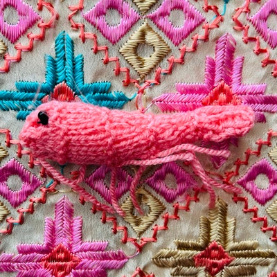 Cornish Knitted Pink Prawn Bride - Etsy