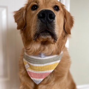 Dog Alphabet Poster PRINTABLE Dog Wall Art Instant - Etsy