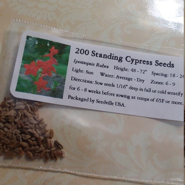 200 STANDING CYPRESS (scarlet Gilia) Ipomopsis Rubra Flower Seeds - Etsy