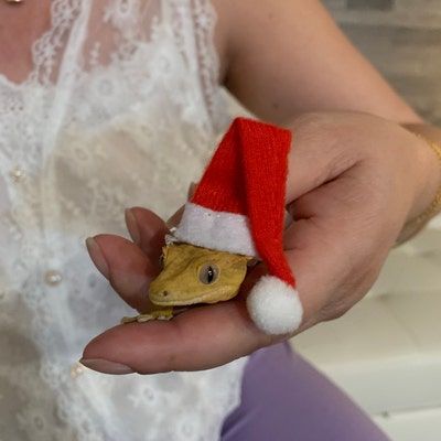 Miniature Santa Hat, Christmas Dollhouse Miniatures, Fairy Garden ...