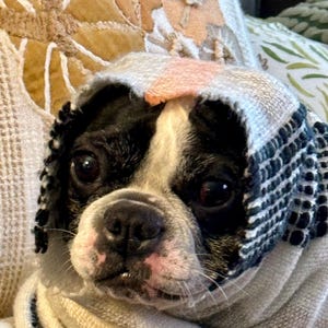 Bobby Clarke, Bill Barber, Reggie Leach Philadelphia Flyers Autographed ...