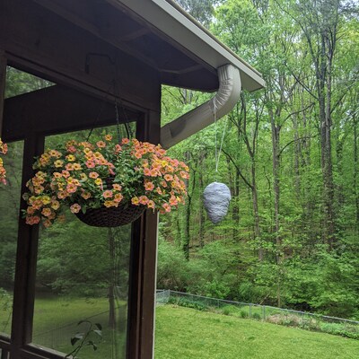 Hasbro Inchworm 1970s Ride on Toy Vintage Original Ride Along Bounce ...