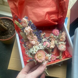 Dried Flower Mini Posy, Miniature Bouquet, Pink and Lavender. Perfect ...
