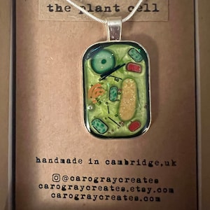 Plant Cell Key Chain Key Ring Cell Biology Biology Gift - Etsy