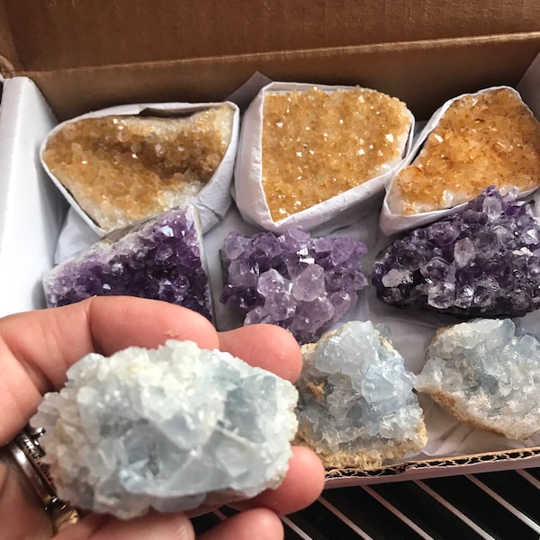 Amethyst, Citrine, & Celestite Crystal Cluster Gift Box, 9 - 12 Pieces ...