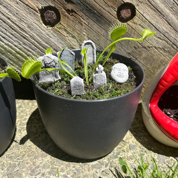 Tiny Mini Cemetery Headstone Tombstone Concrete Potted Plant Terrarium ...