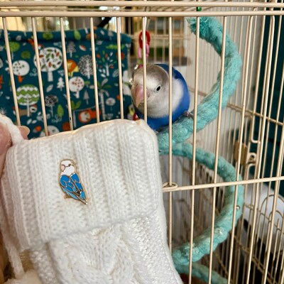 Foot Check Pineapple Green Cheek Conure Hard Enamel Pin - Etsy