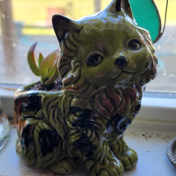 Stuffed Soft Cat, Stuffed Dog Soft Stuffed Animals, Simplicity 340 ...