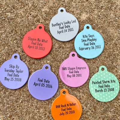 Equestrian Horse ID Tag Personalised Horse Bridle Tag Horse Gift Equine ...