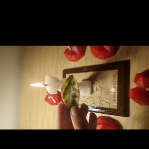Psychic Reading Accurate Psychic Reading Tarot Reading Psychic Love