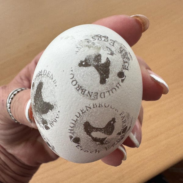 Mini Egg Stamp | Homesteading | Farm Stamp | Egg Marking | Egg Stamper ...
