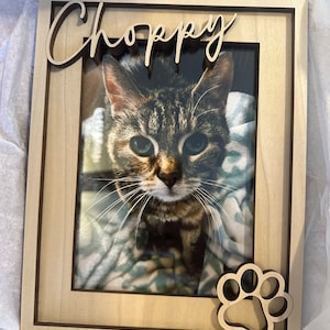 Personalized Cat Frame Custom Cat Name Picture Frame Gifts - Etsy