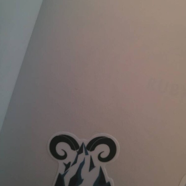 Swim Team Stickers Swimmer Speedo Gifts for Swim Team Coach - Etsy