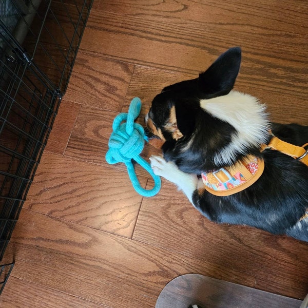 Flamingo Rope Dog Toy， Toys for Small and Meddle Dogs，eco-friendly Toys ...