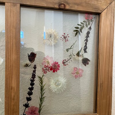 White Ruscus Branches, Premium Bleached Italian Ruscus, Dried DIY ...