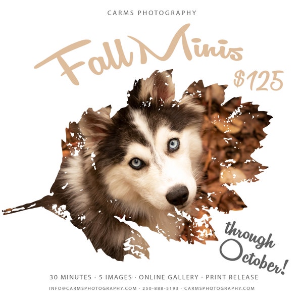 Fall Mini Session Template, Autumn Mini Sessions, Fall Photography ...
