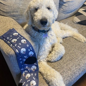 Custom Pet Socks, Put Your Cute Dog on Socks, Dog Lovers Gift, Funny ...