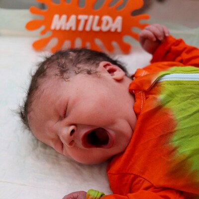 Replica/ Bison Whistle / Avatar the Last Airbender - Etsy