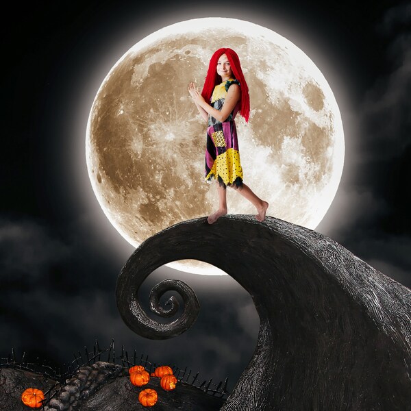 Shark Animal Magic PNG Overlay (TRANSPARENT BACKGROUND) - Etsy