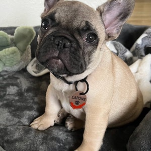 Quiet Dog Tag, Leather Dog Tag, Personalized Leather Dog Tag, Pet ...