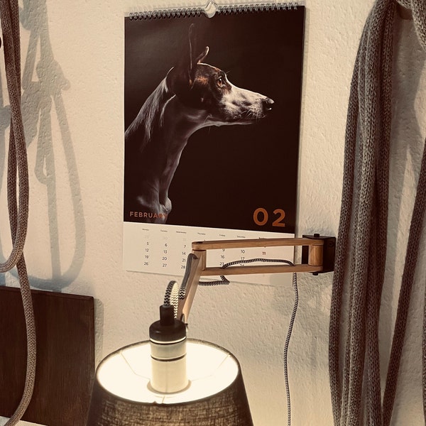 Xolo Calendar 2025, Xoloitzcuintle Gifts, Unique Dog Calendar, Hairless ...