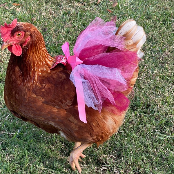 Standard Chicken Tutu Dress- Princess Dress for Your Hen - Etsy