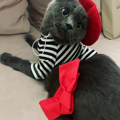 French Look Outfit Set Pet Beret Hat, Red Scarf, Black White Striped T ...