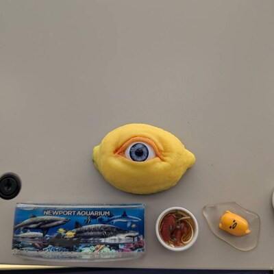 The Wall-mountable All Seeing Lemon - Etsy