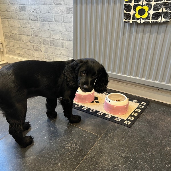 Personalised Spaniel Bowl | Long Eared Dog Bowl | Spaniel Food Bowl ...