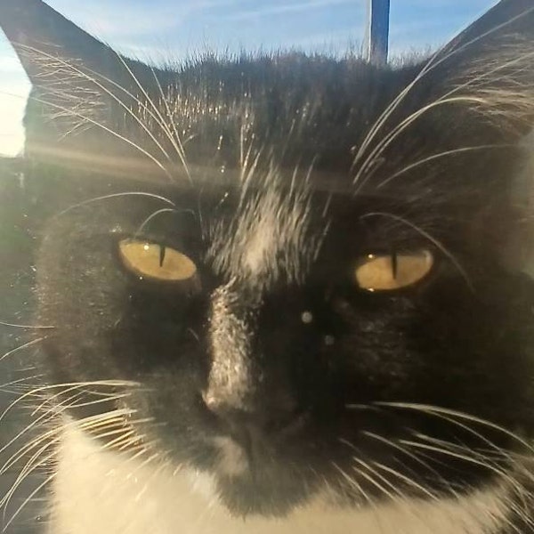 Genuine German Army Sea Sack Duffel Bag W Shoulder Straps Large W Lock ...