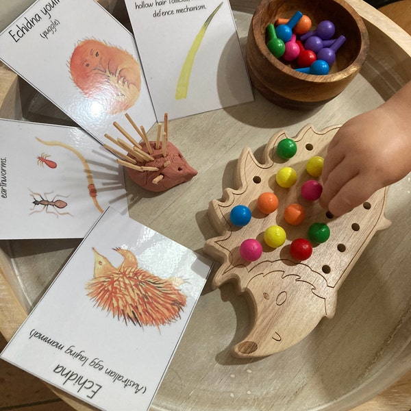 Indigenous Symbol Flash Cards - Etsy