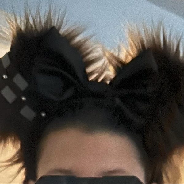 Red Disney Ears, Disney Ears, Red Velvet Ears, Disney Ears Headband ...