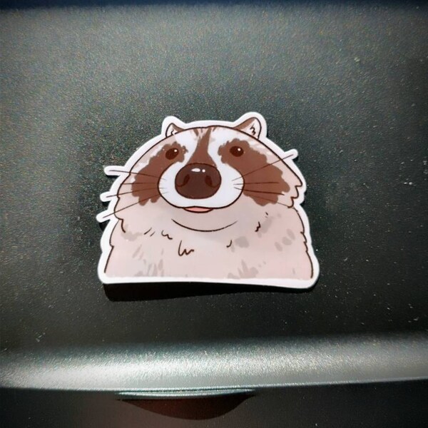Raccoon Close up Funny Sticker Raccoon Sticker Gifts Under 10 Water ...