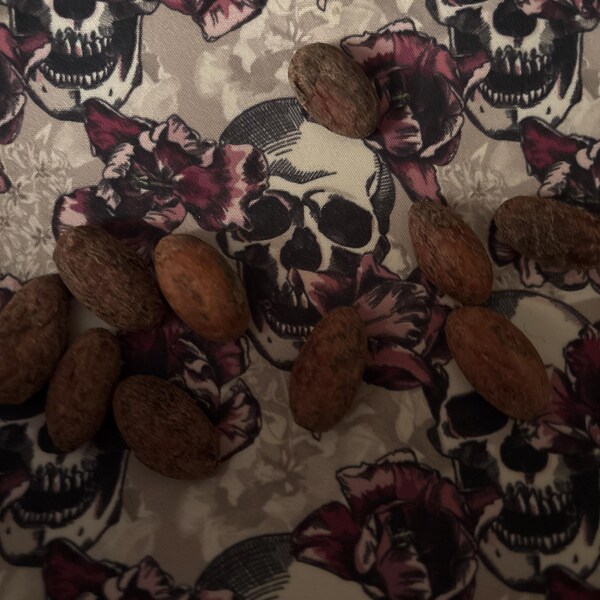 7 African Powers Hoodoo Rice, Orisha Blessings, Orunmilla, Chango ...