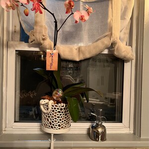 Windowsill Clamp Tray for Indoor Plants, Plant Decor, More Space for ...